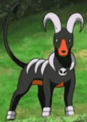 Houndoom | International Pokédex Wiki | Fandom