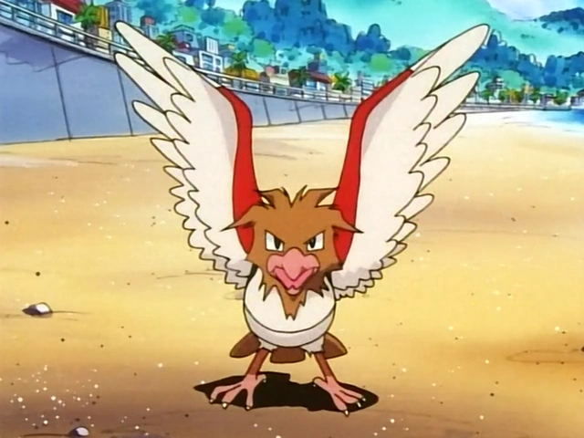 Punk's Spearow | International Pokédex Wiki | Fandom
