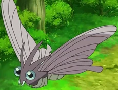 Goh's Venomoth | International Pokédex Wiki | Fandom
