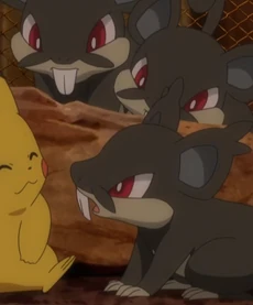 Wild Rattata in the Ultra Ruin | International Pokédex Wiki | Fandom