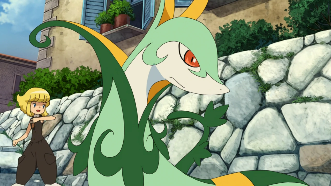 Mako's Serperior | International Pokédex Wiki | Fandom