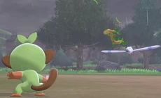 Branch Poke | International Pokédex Wiki | Fandom