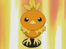 Professor Birch's Torchic | International Pokédex Wiki | Fandom