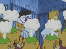 James's Numel | International Pokédex Wiki | Fandom