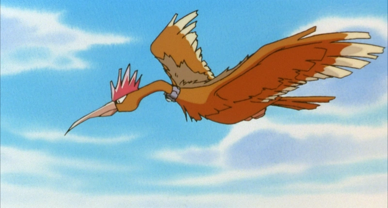 Fearow | International Pokédex Wiki | Fandom