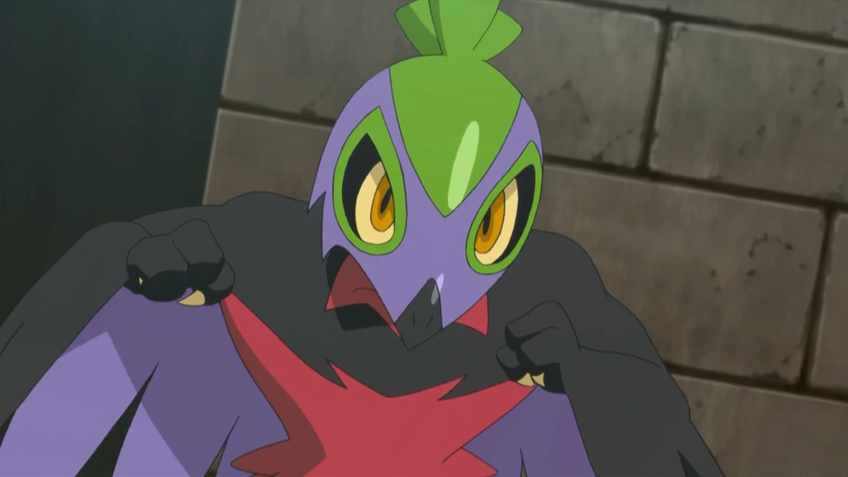Dark Hawlucha | International Pokédex Wiki | Fandom