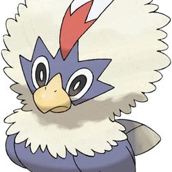 Rufflet Evolution