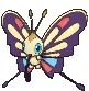 Beautifly | International Pokédex Wiki | Fandom