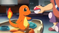 Tierno's Charmander | International Pokédex Wiki | Fandom