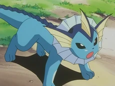 Sumomo's Vaporeon | International Pokédex Wiki | Fandom