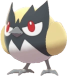 Rookidee | International Pokédex Wiki | Fandom