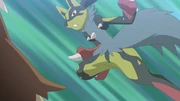 Roy's Lucario | International Pokédex Wiki | Fandom