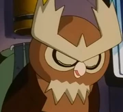 Noctowl | International Pokédex Wiki | Fandom