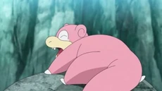 Slowpoke | International Pokédex Wiki | Fandom