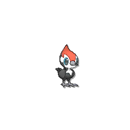 Wild Pikipek in Alola | International Pokédex Wiki | Fandom