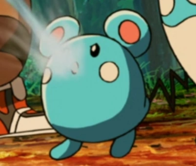 Azurill | International Pokédex Wiki | Fandom