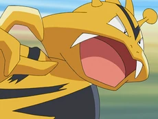 Jump's Electabuzz | International Pokédex Wiki | Fandom