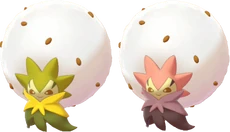 Wild Eldegoss in Galar | International Pokédex Wiki | Fandom
