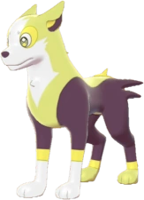 Boltund | International Pokédex Wiki | Fandom