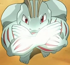 Cross Chop | International Pokédex Wiki | Fandom