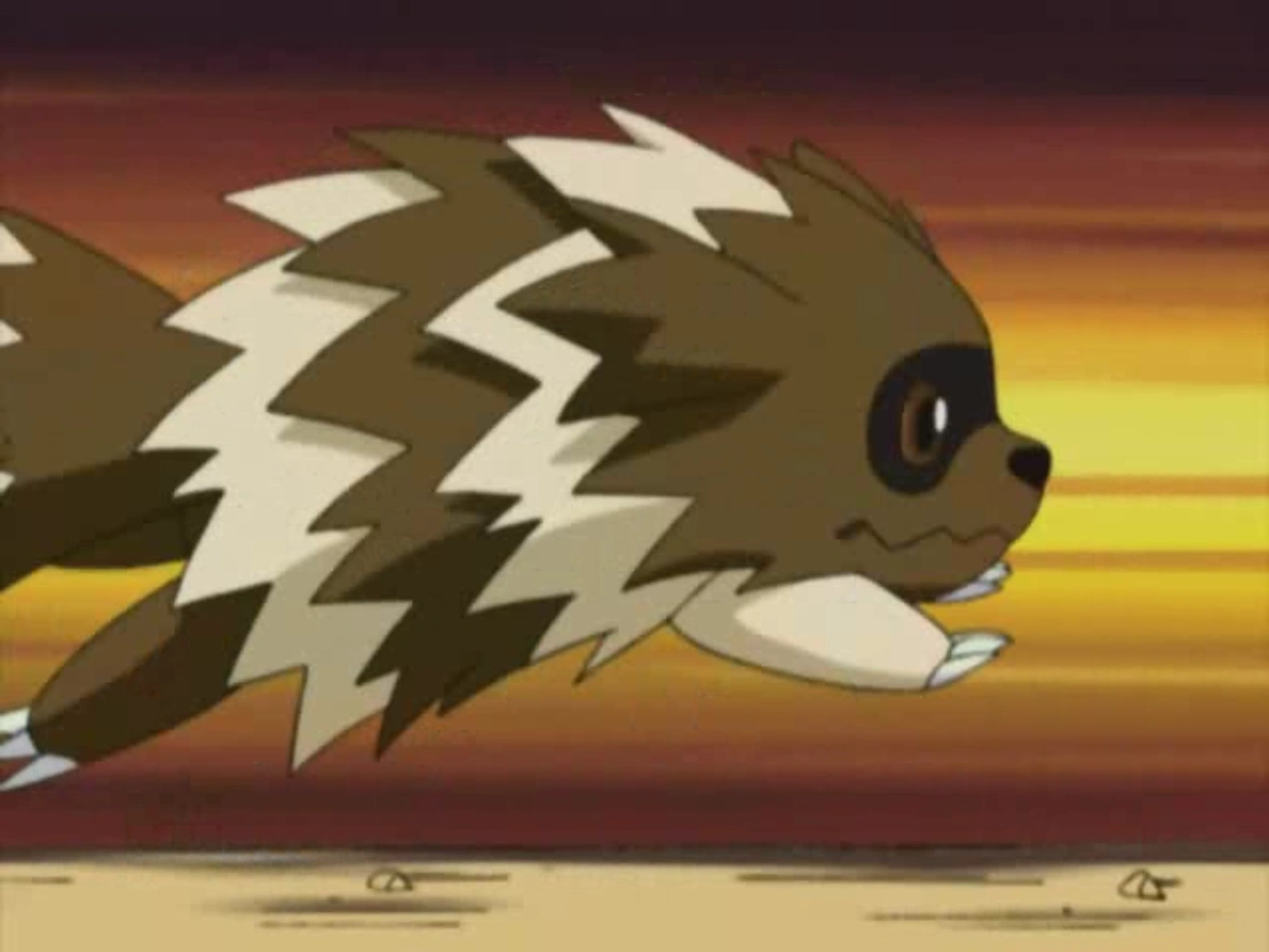 Gym Badge thieves' Zigzagoon | International Pokédex Wiki | Fandom
