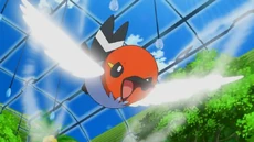 Steel Wing | International Pokédex Wiki | Fandom