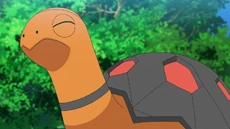 Shell Sage's Torkoal | International Pokédex Wiki | Fandom