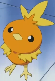 Nurse Joy's Torchic | International Pokédex Wiki | Fandom