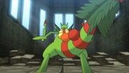 Brendan's Sceptile | International Pokédex Wiki | Fandom
