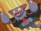 Category:Ground/Flying-types | International Pokédex Wiki | Fandom