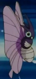 Assunta's Venomoth | International Pokédex Wiki | Fandom