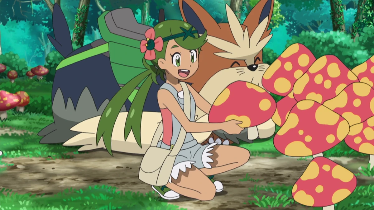 Mallow's Stoutland | International Pokédex Wiki | Fandom