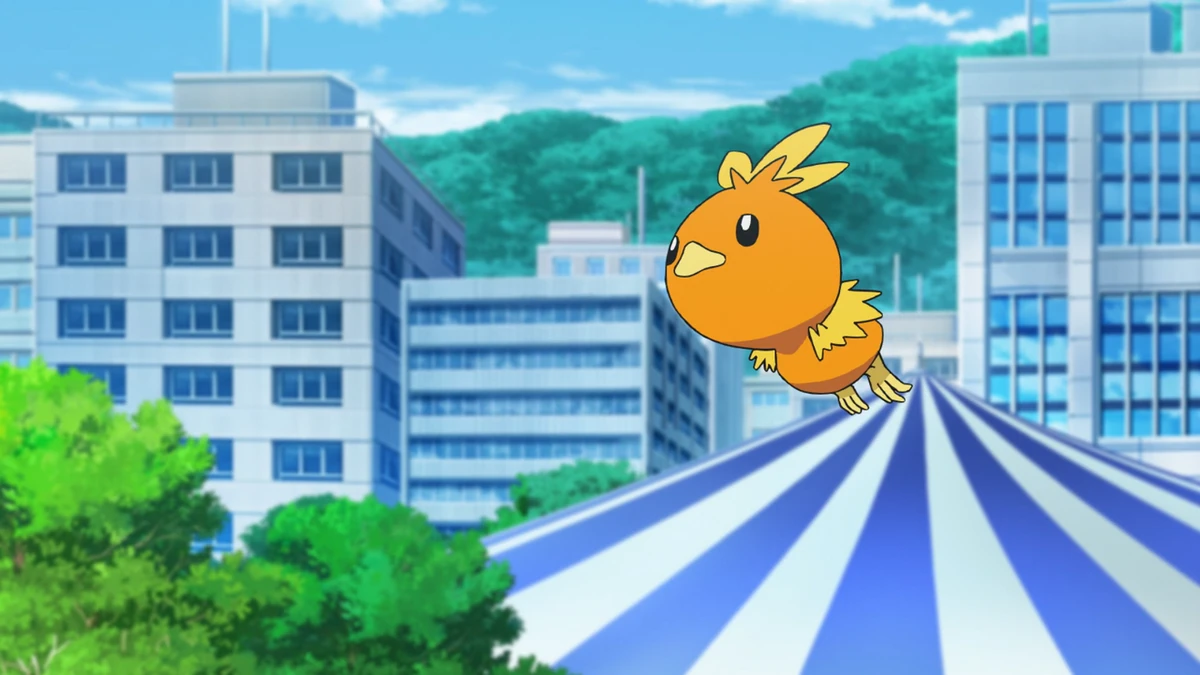 Harmony's Torchic | International Pokédex Wiki | Fandom