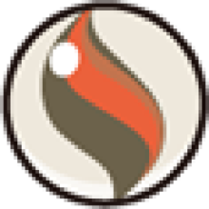 Cameruptite | International Pokédex Wiki | Fandom