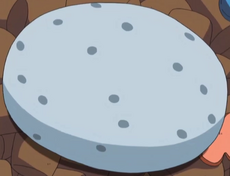 Everstone | International Pokédex Wiki | Fandom