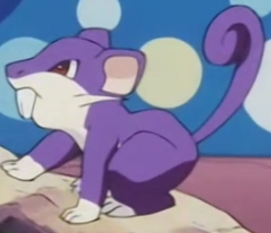 Temacu's father's Rattata | International Pokédex Wiki | Fandom