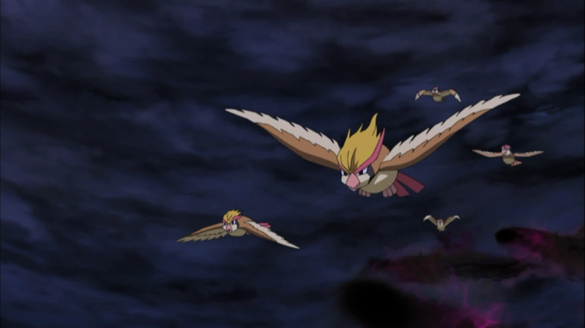 Pidgeot | International Pokédex Wiki | Fandom