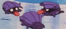 Pryce's Shellder | International Pokédex Wiki | Fandom