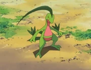 Ash's Sceptile | International Pokédex Wiki | Fandom