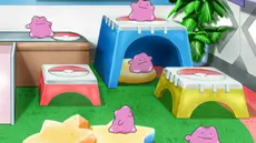 Ditto | International Pokédex Wiki | Fandom