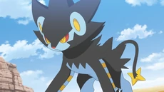 Archeologists's Luxray | International Pokédex Wiki | Fandom
