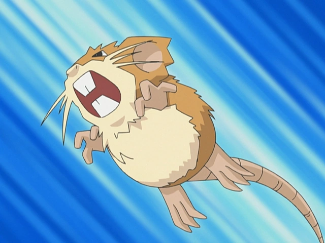 Mollie's Raticate | International Pokédex Wiki | Fandom