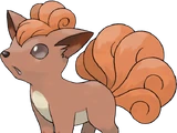 Category:Fox Pokémon | International Pokédex Wiki | Fandom