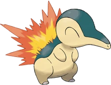 Cyndaquil | International Pokédex Wiki | Fandom