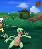 Worry Seed | International Pokédex Wiki | Fandom