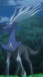 Xerneas | International Pokédex Wiki | Fandom