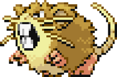 Blue's Raticate | International Pokédex Wiki | Fandom