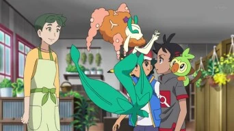 Florist's Florges | International Pokédex Wiki | Fandom