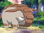Donphan | International Pokédex Wiki | Fandom