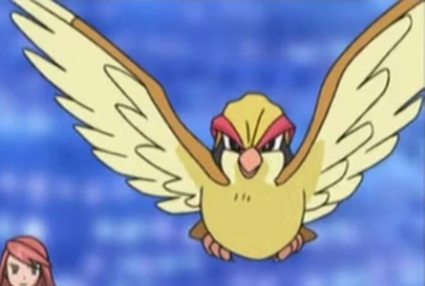 Solidad's Pidgeot | International Pokédex Wiki | Fandom